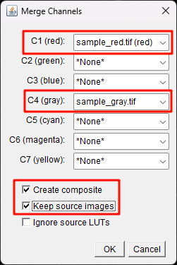 使用ImageJ批量合并细胞荧光图像 | 贪吃小猫粘粘老师